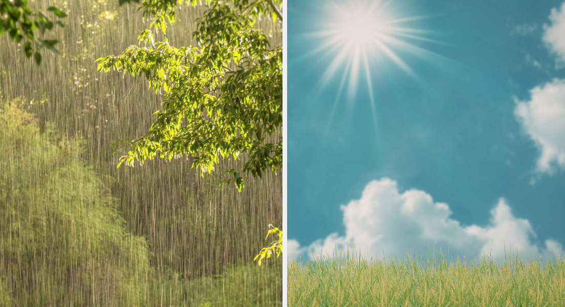 Spring Walking | Top Tips - Walk The Walk Worldwide